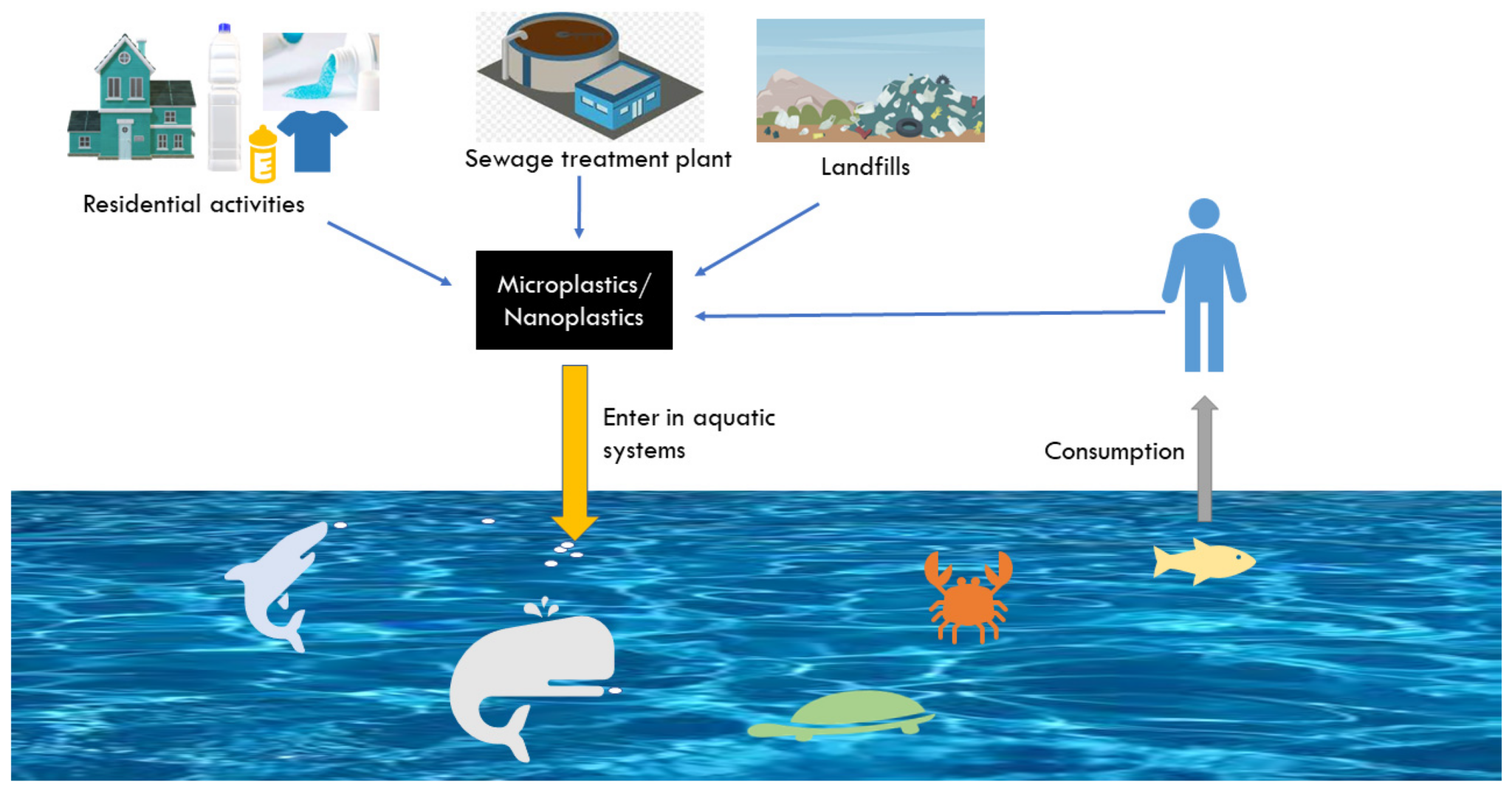 Microplastics in Drinking Water: The Hidden Health Risks & Why We Need ...